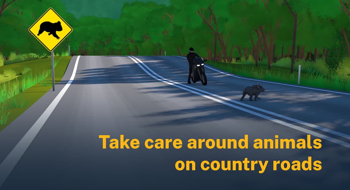 Look out - Reminding motorists to take care around animals on country ...